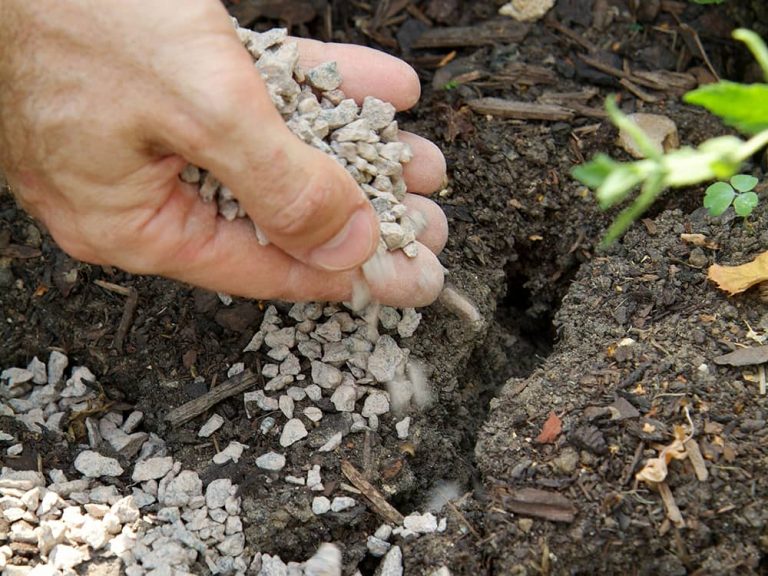 Tuingrond verbeteren: dit zijn de dos & don'ts - Gardeners World