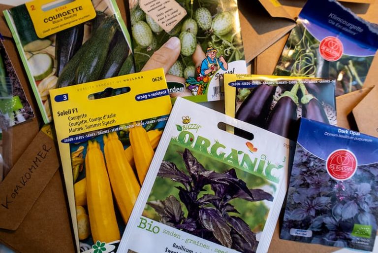 De moestuin klaarmaken voor het voorjaar: doe dit nu - Gardeners World