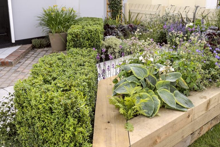 Voortuin ontwerpen: 11x de belangrijkste do's & don'ts - Gardeners World