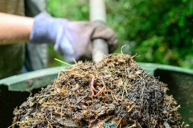 Composteren voor beginners: zelf compost maken - Gardeners World