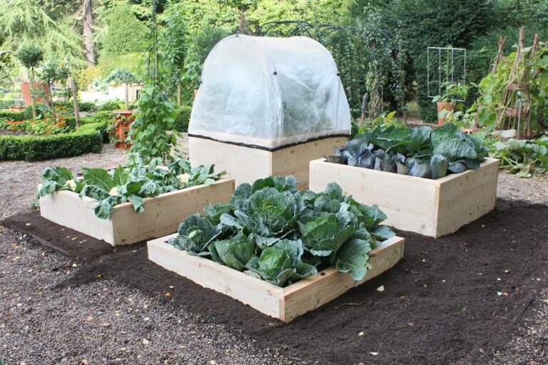 De tuin in februari week 5: dit kun je nu doen - Gardeners World