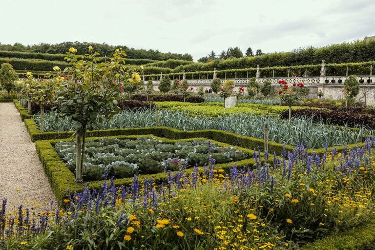 Vive la France! Zo maak je je eigen Franse tuin(tje) - Gardeners World