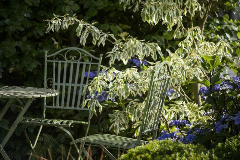 Vive la France! Zo maak je je eigen Franse tuin(tje) - Gardeners World