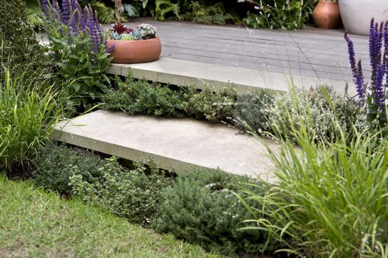 Vive la France! Zo maak je je eigen Franse tuin(tje) - Gardeners World