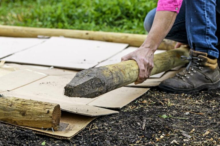 Haagwinde bestrijden: dit zijn de beste tips - Gardeners World