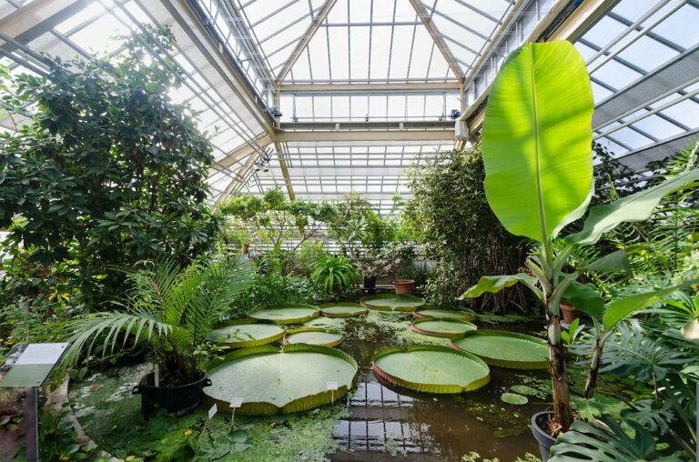 Bezoek deze 10 botanische tuinen in de winter - Gardeners World