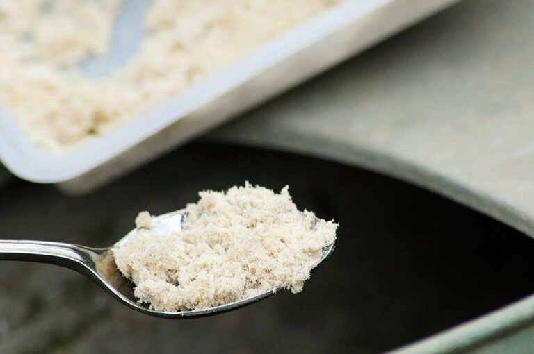 Kleine zwarte vliegjes in huis? Zo kom je er vanaf - Gardeners World