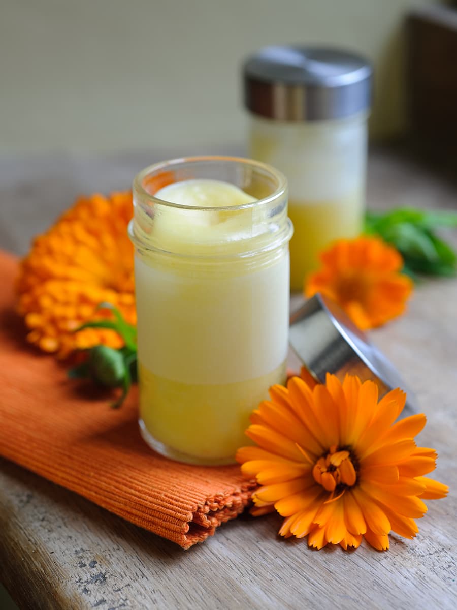 Calendula zalf maken: zo doe je dat zelf - Gardeners World