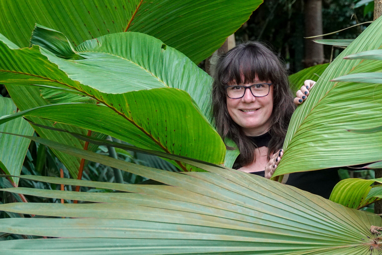 Amaryllis: tips over het vermeerderen - Gardeners World