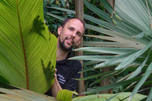 Amaryllis: tips over het vermeerderen - Gardeners World