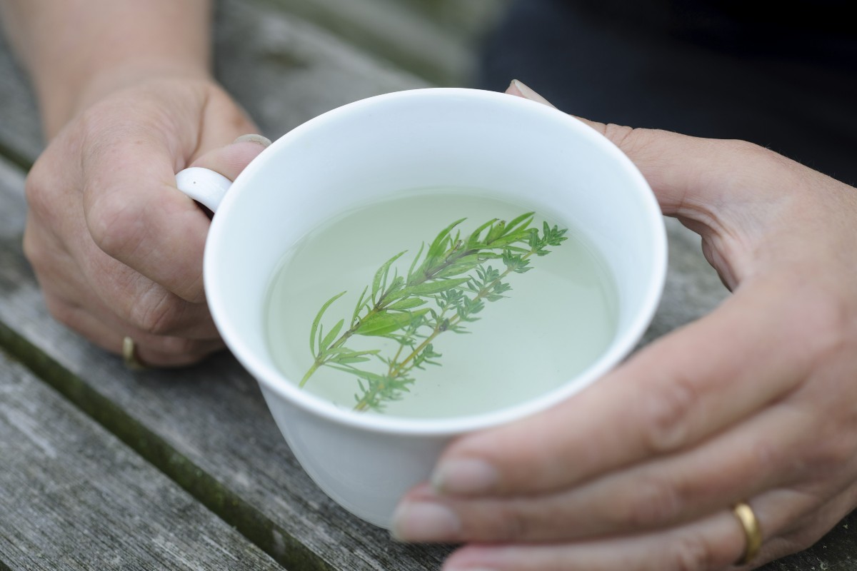 Tijm kweken, planten & stekken - Gardeners World