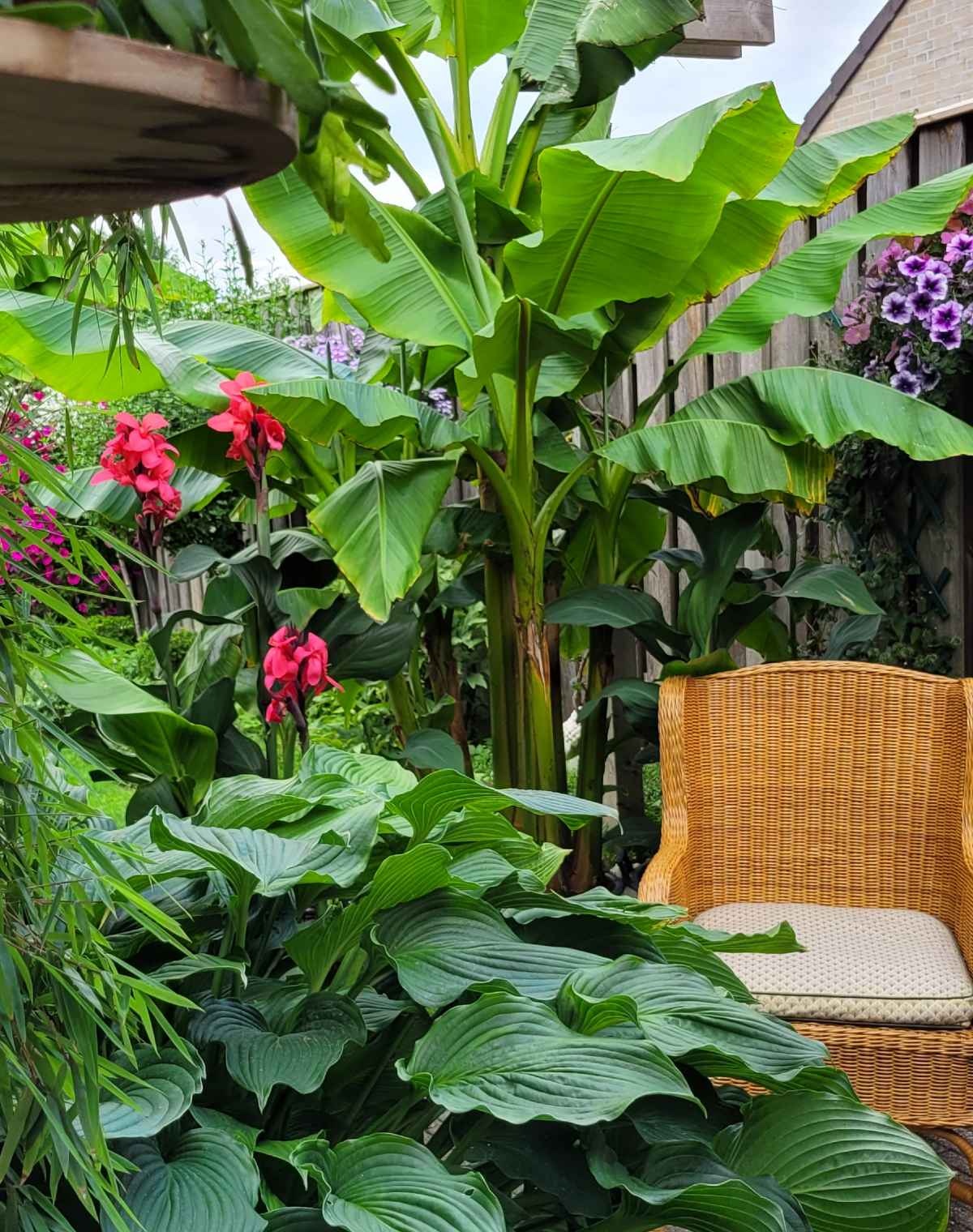In de tuin van Tony: een tropisch paradijs - Gardeners World