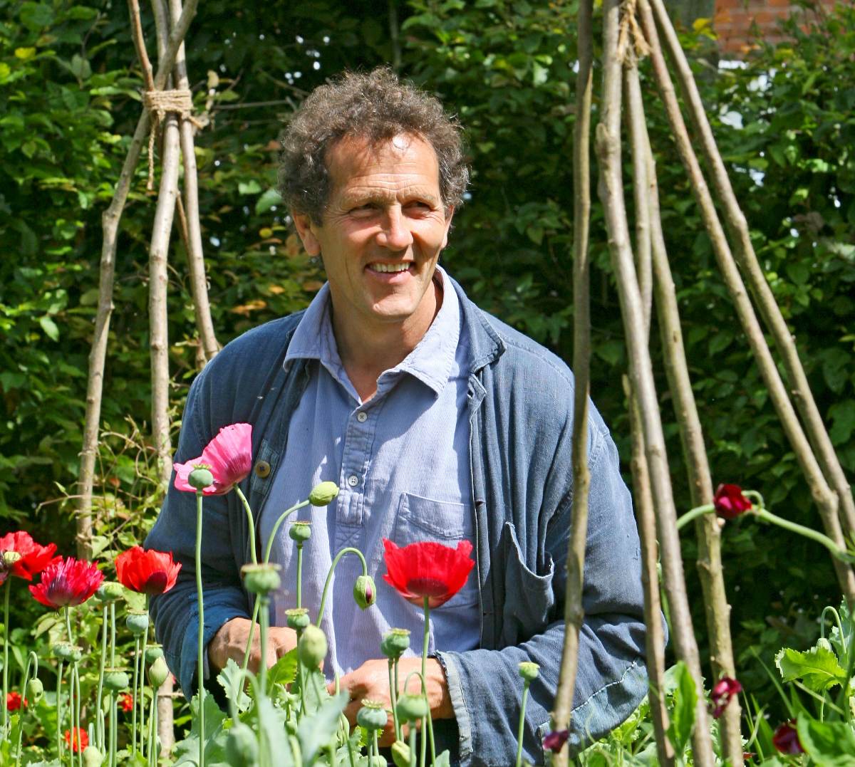 Klaproos (Papaver): zaaien, kweken en vermeerderen - Gardeners World
