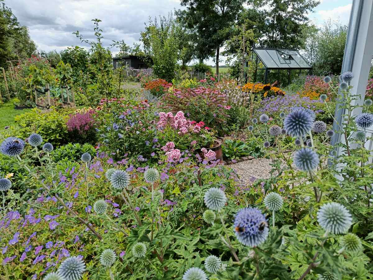 In de tuin van Lindia: van grasveld tot permacultuur-cottagetuin