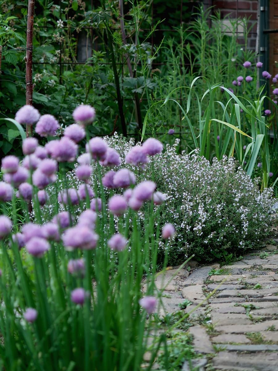 Groente en fruit eten uit de mini-moestuin (1) - Gardeners World