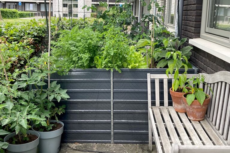 Groente en fruit eten uit de mini-moestuin (1) - Gardeners World