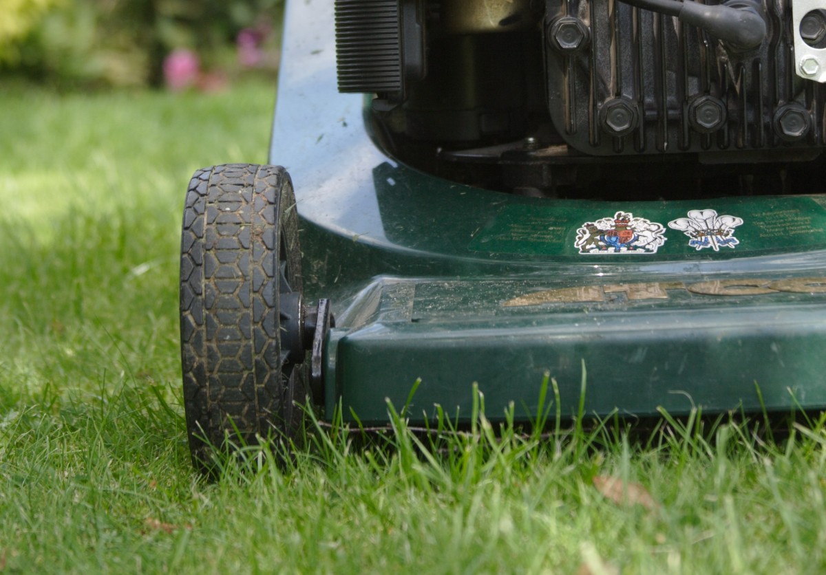 Gras onderhouden: 15 tips voor elk seizoen - Gardeners World