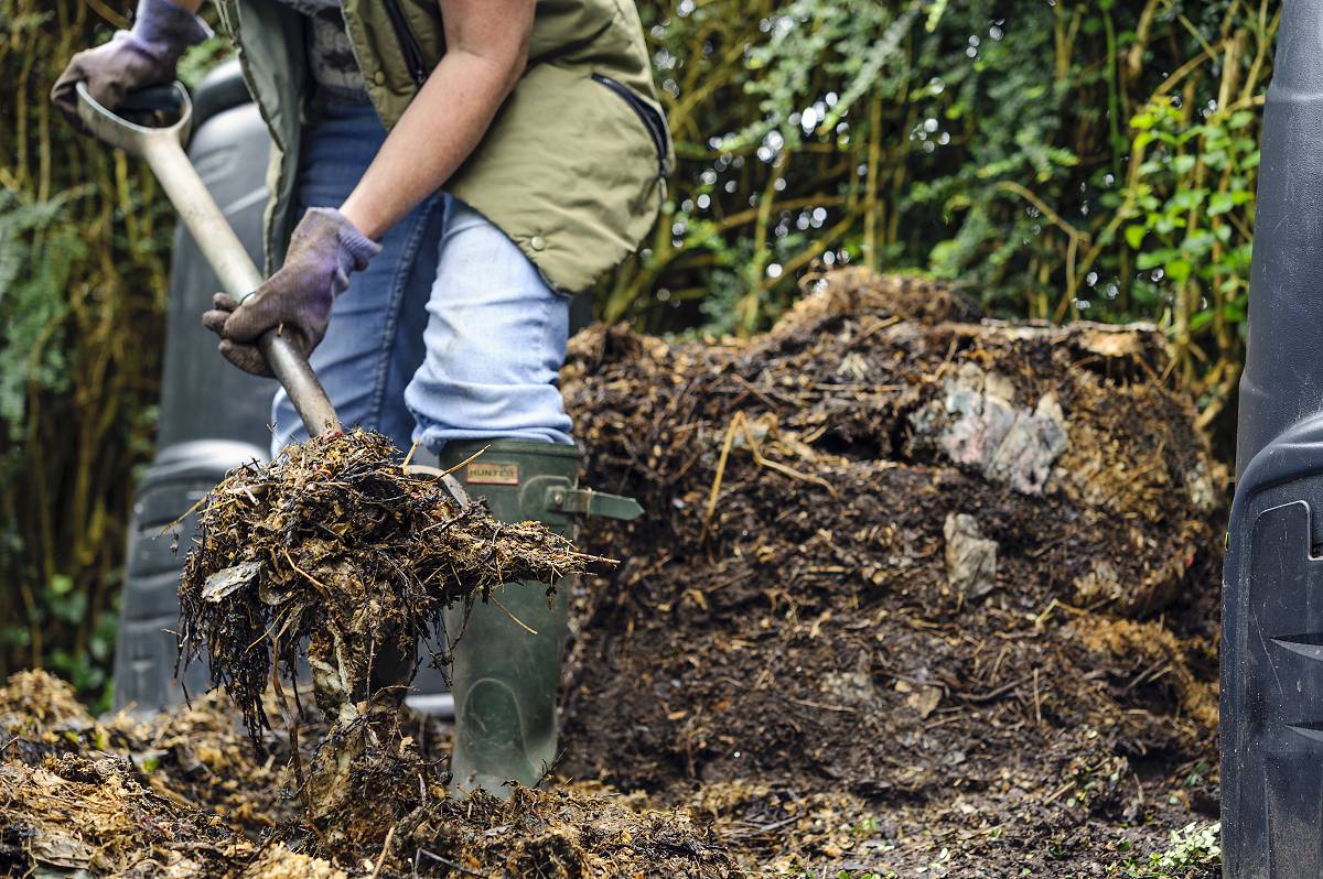 Deze 7 invasieve exoten wil je echt niet in je tuin - Gardeners World