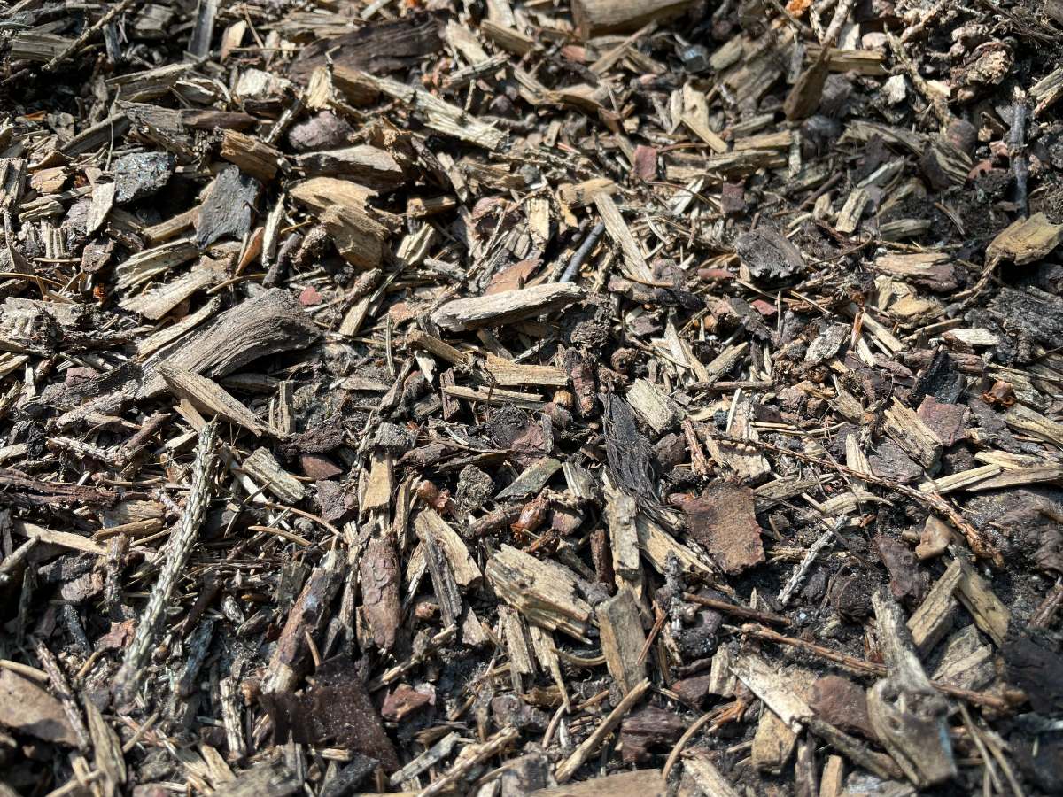 Mulchen: zo pak je dat goed aan - Gardeners World