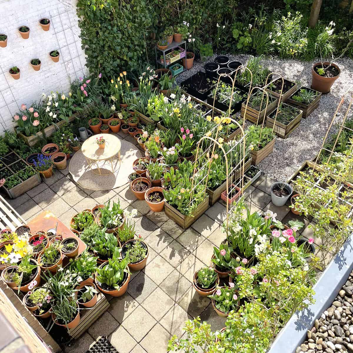 Groente en fruit eten uit de mini-moestuin (2) - Gardeners World