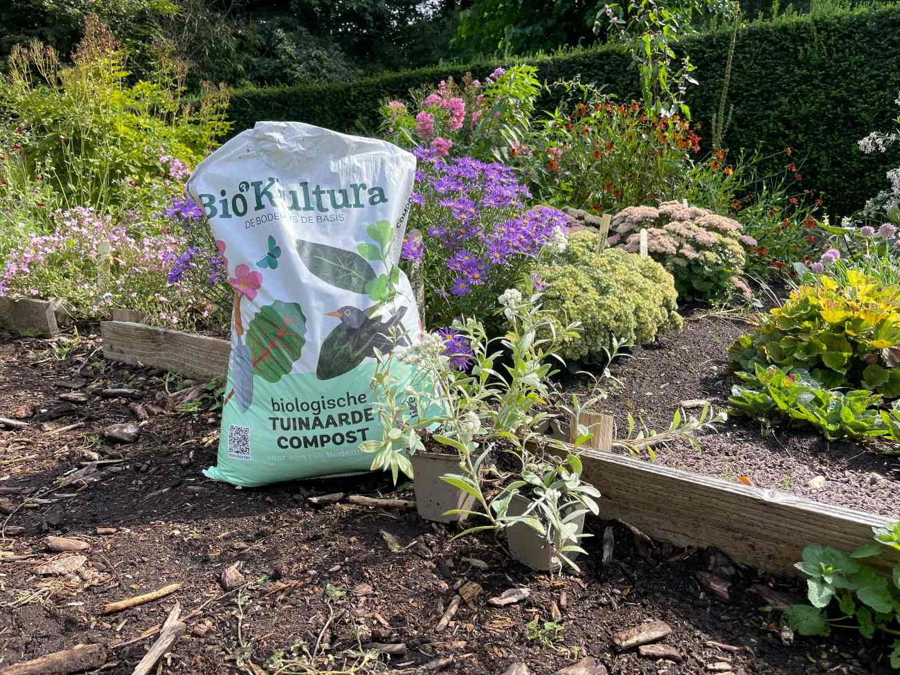 Nieuwe tuin aanleggen? Start in de herfst! - Gardeners World