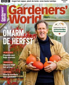 Dit zijn de 10 beste planten voor kleigrond - Gardeners World