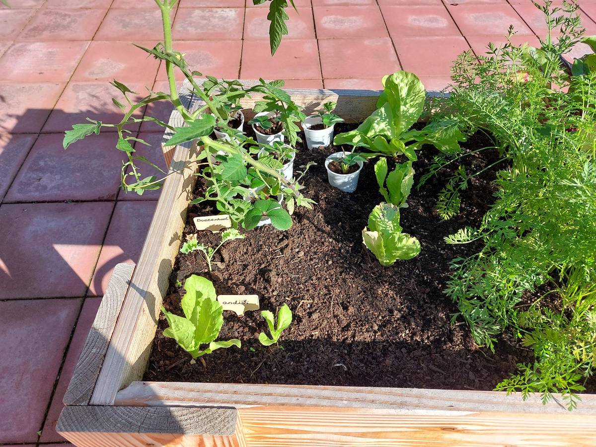 Samen tuinieren met de verhoogde moestuinbak van Ecotuintje