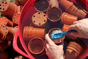 Tuinklussen voor januari: 10x goed het tuinjaar beginnen