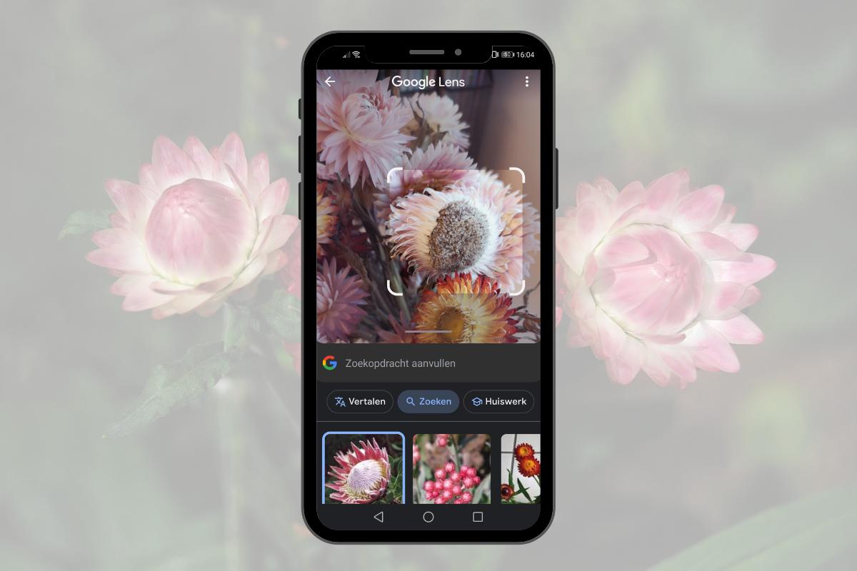 Planten herkennen met apps: de beste keuze - Gardeners World