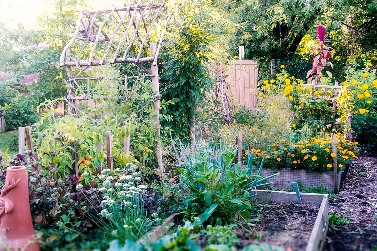 Zo ontwerp je een potager (siermoestuin)