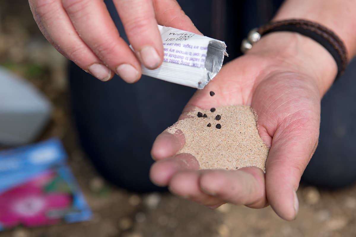 De tuin in maart week 12: dit kun je nu allemaal doen - Gardeners World