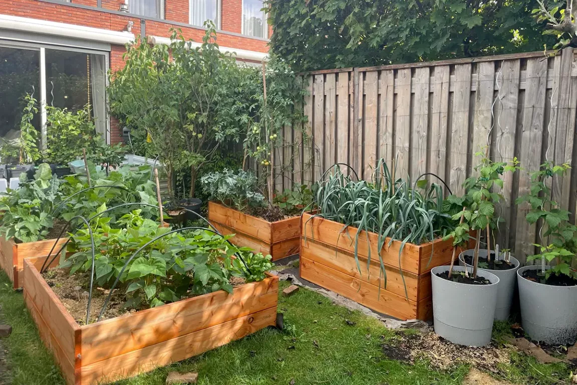Precies goed, met een moestuinbak op maat van Ecotuintje - Gardeners World