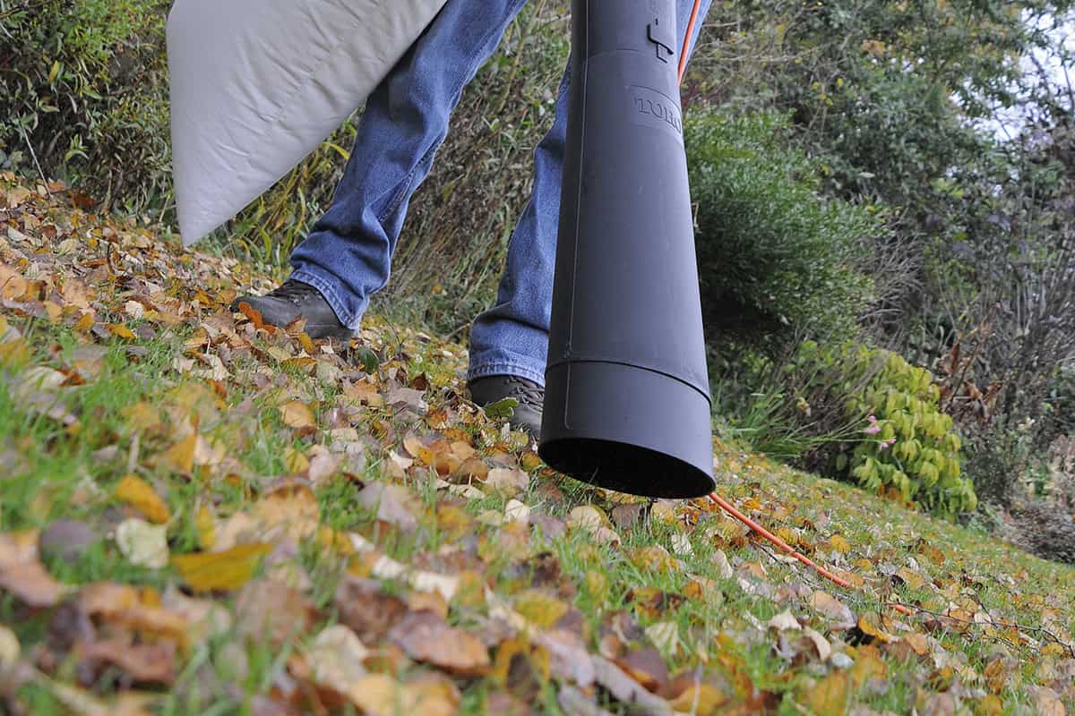 Stop om deze 6 redenen met het gebruik van de bladblazer - Gardeners World