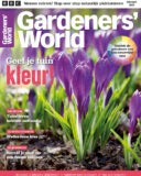 Bessenstruik snoeien: wanneer en hoe doe je dat? - Gardeners World