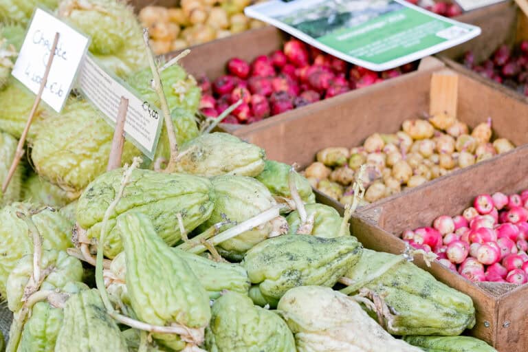 De Moestuinbeurs van 28 t/m 30 maart: 6 redenen om erbij te zijn - Gardeners World