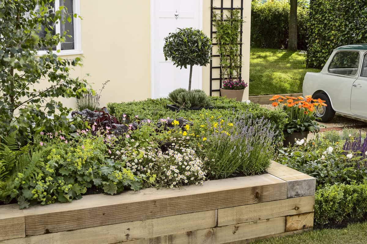 8 border-ideeën voor je tuin - Gardeners World