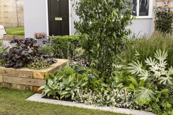 Voortuin inspiratie: ideeën en voorbeelden (met foto's) - Gardeners World