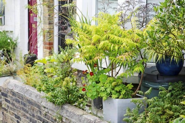 Voortuin inspiratie: ideeën en voorbeelden (met foto's) - Gardeners World