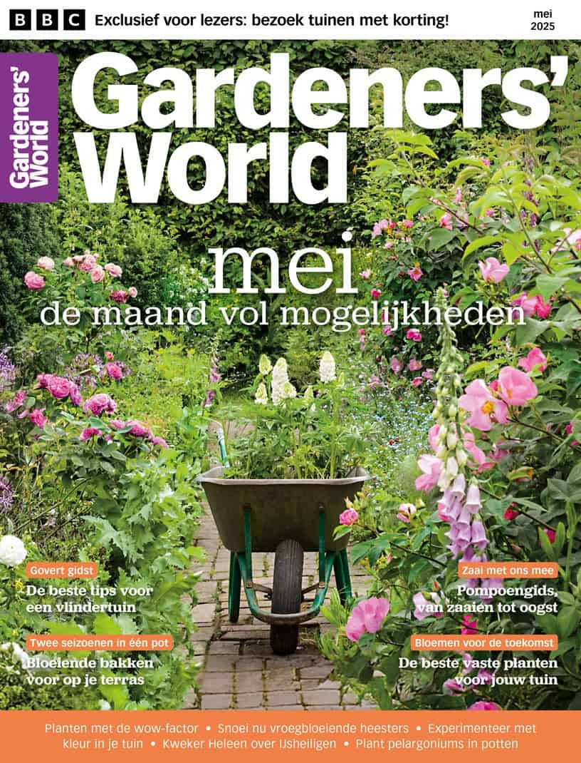 Kornoelje Cornus Kweken Verzorgen En Meer Gardeners World Kornoelje Cornus Kweken Verzorgen En Meer Gardeners World