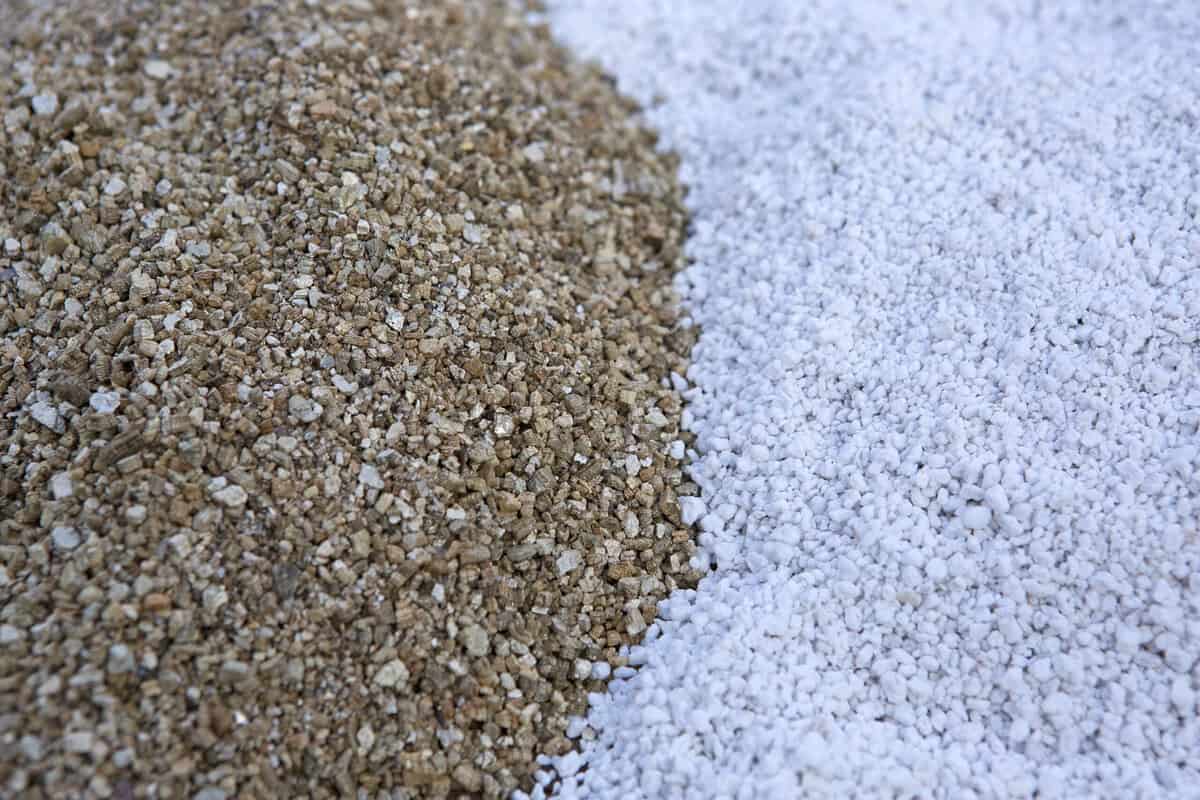 Perliet: wat is het en hoe gebruik je het in de tuin? - Gardeners World