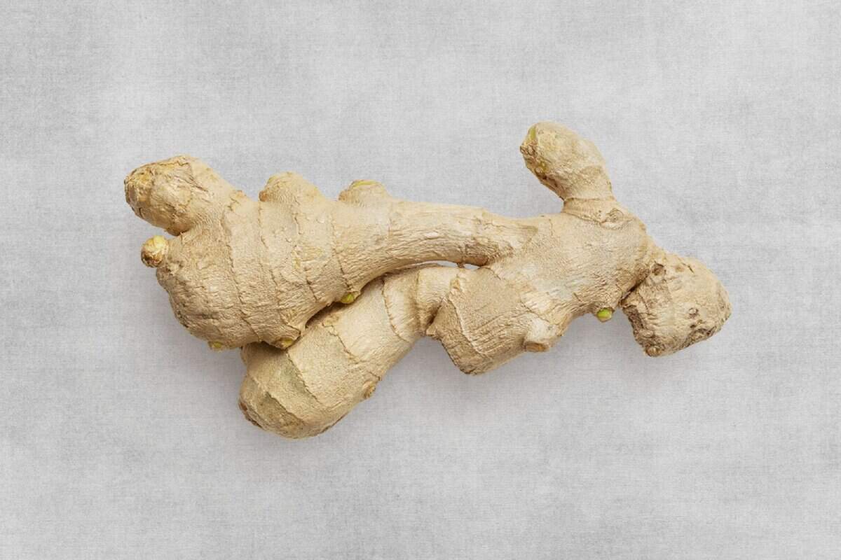 Zelf gember kweken in 5 stappen - Gardeners World