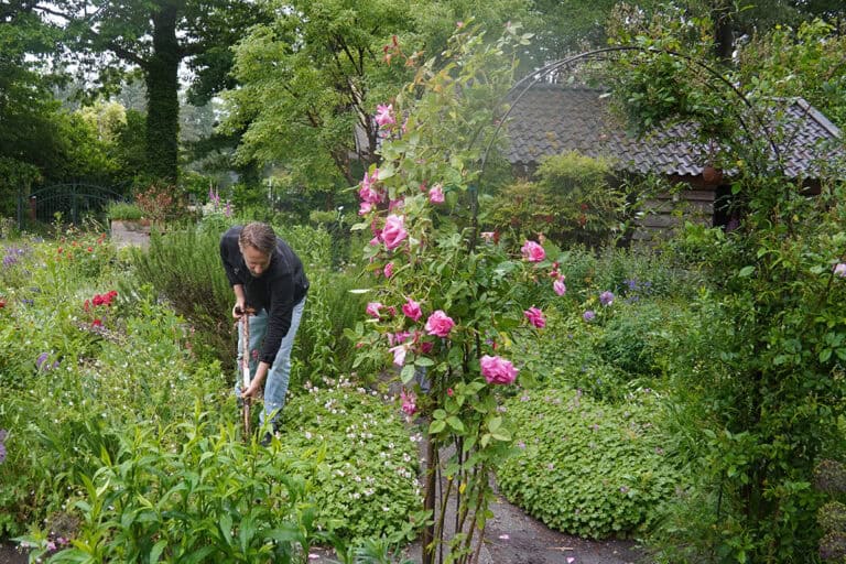 Nieuwe videoserie: leer over mulchen en hergebruik in de tuin ...