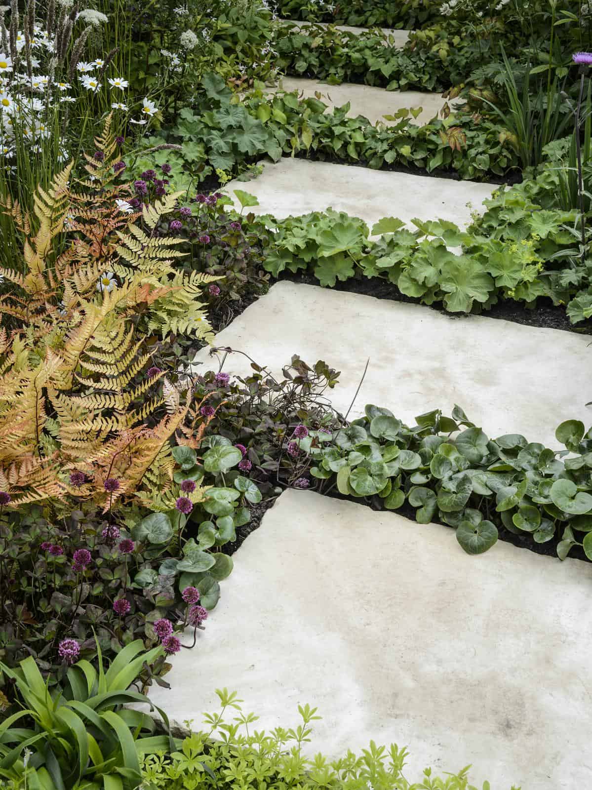 Stapstenen in de tuin: van idee tot uitvoering - Gardeners World