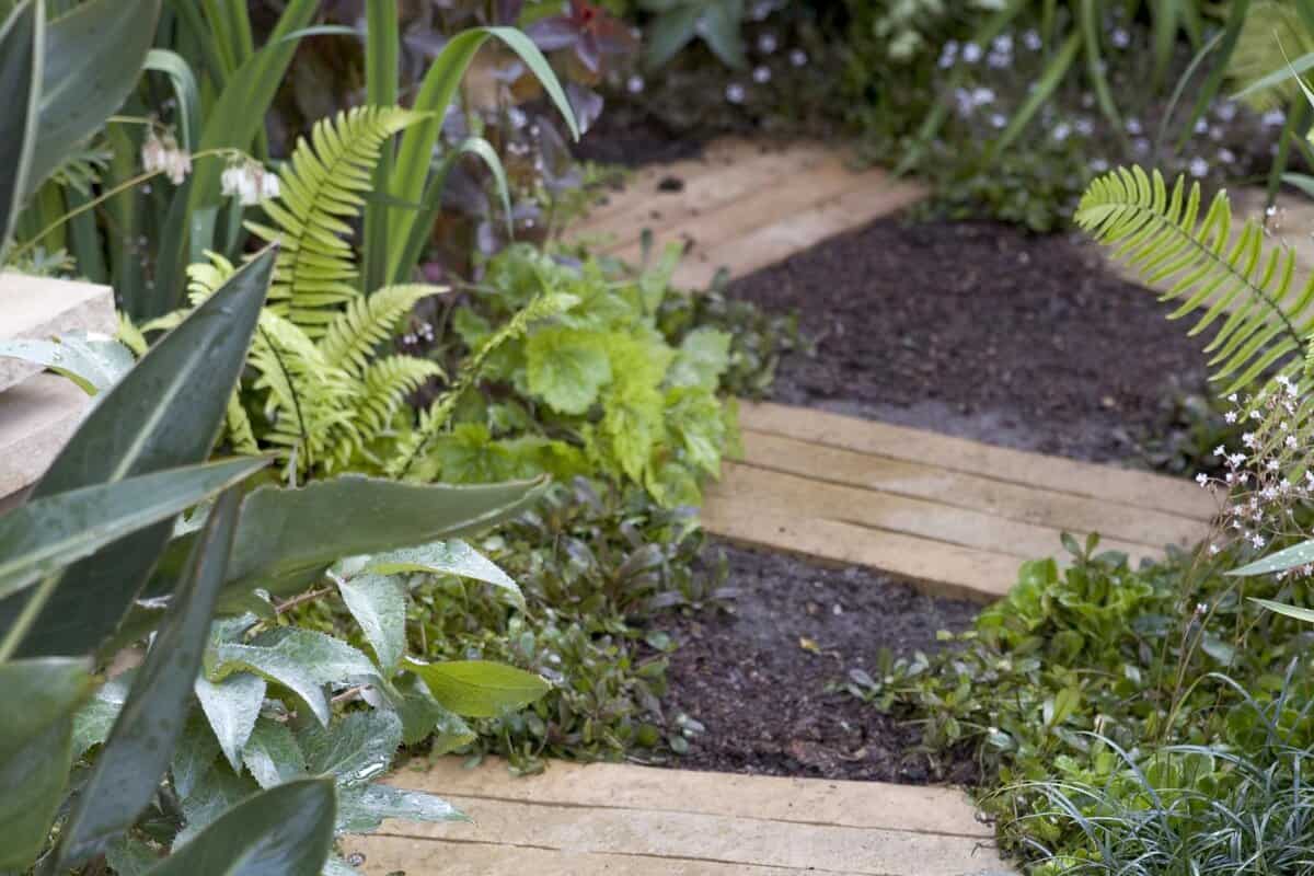 Stapstenen in de tuin: van idee tot uitvoering - Gardeners World