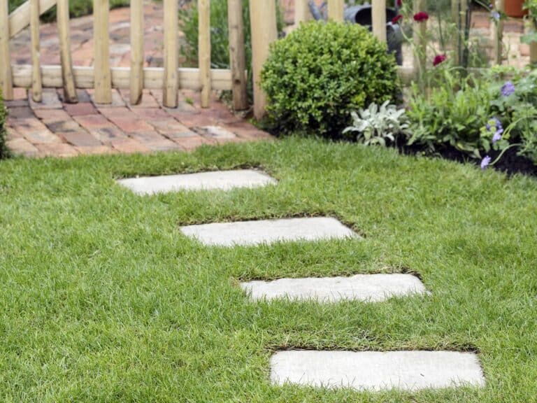 Stapstenen in de tuin: van idee tot uitvoering - Gardeners World