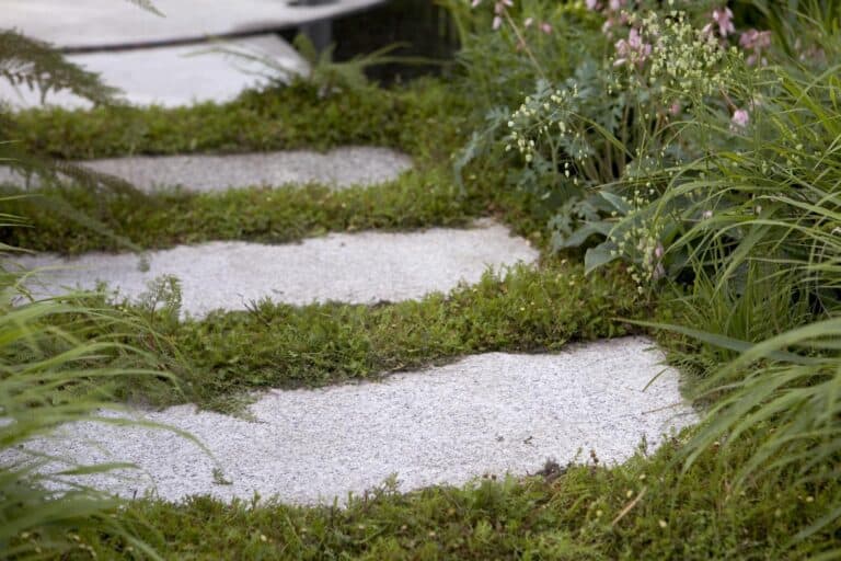 Stapstenen in de tuin: van idee tot uitvoering - Gardeners World