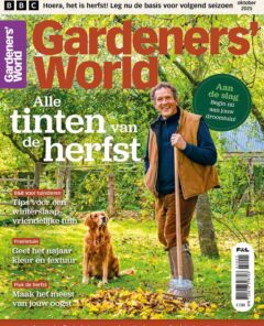 Perliet: wat is het en hoe gebruik je het in de tuin? - Gardeners World