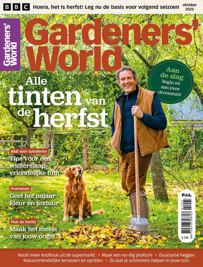 Bessenstruik snoeien: wanneer en hoe doe je dat? - Gardeners World