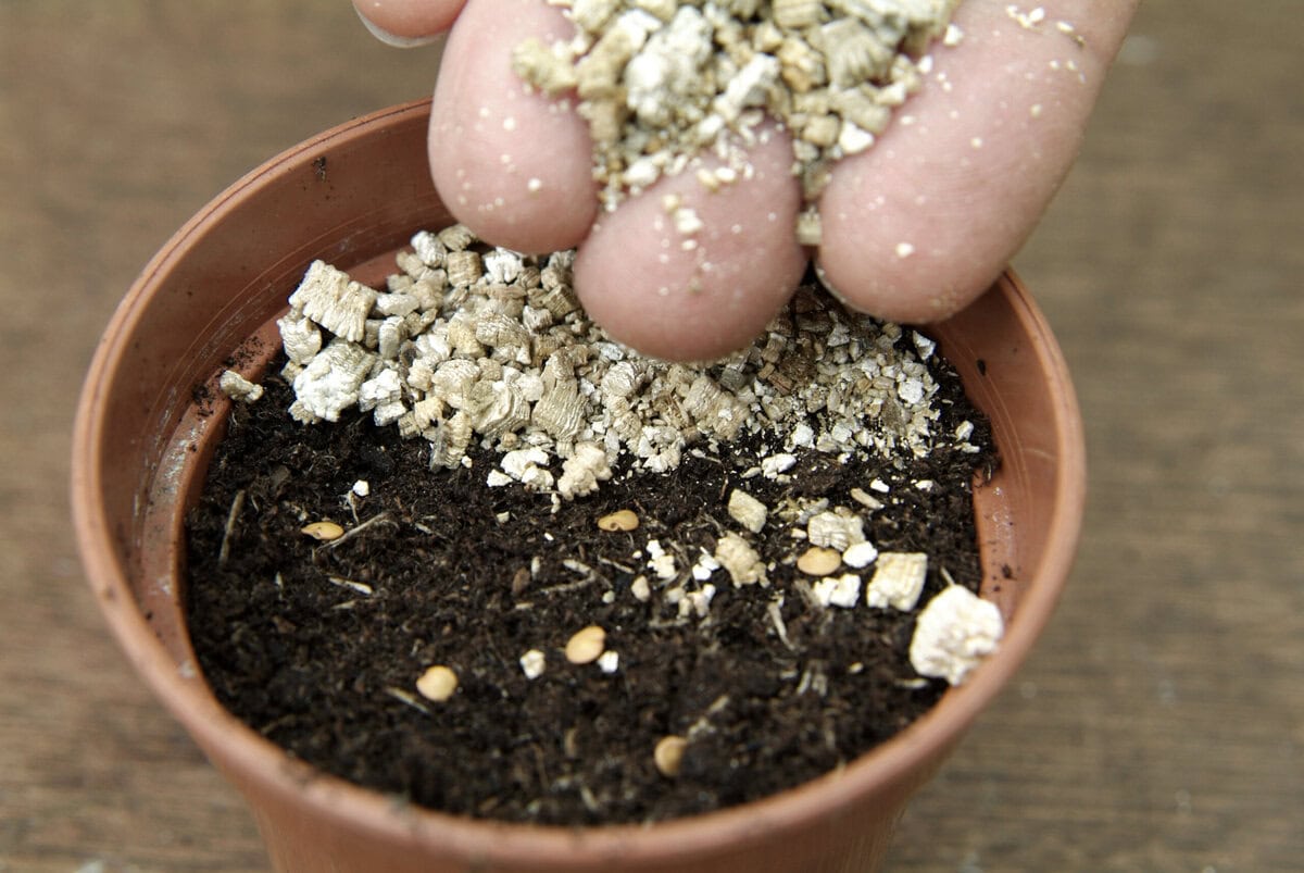 Wat is vermiculiet en hoe gebruik je het in je tuin? - Gardeners World