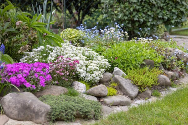 Een onderhoudsarme rotstuin aanleggen: ideeën en tips - Gardeners World